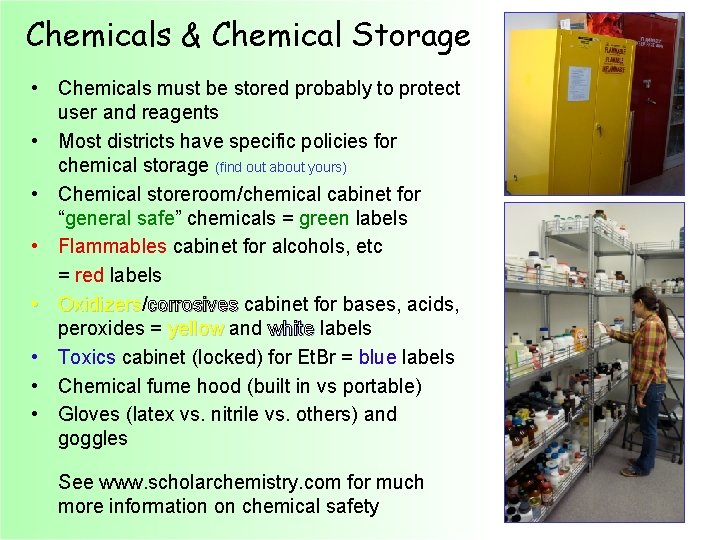 How to Manage a Biotech Lab Ellyn Daugherty