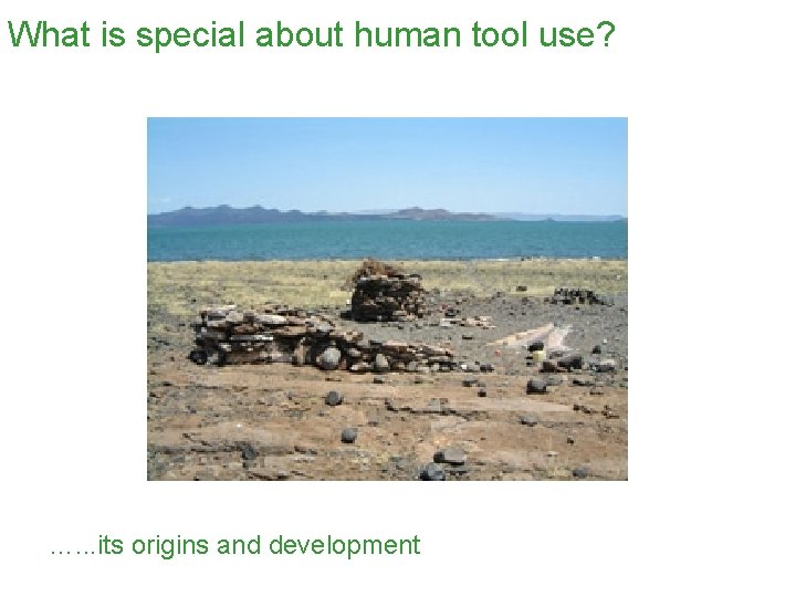 What is special about human tool use Technology