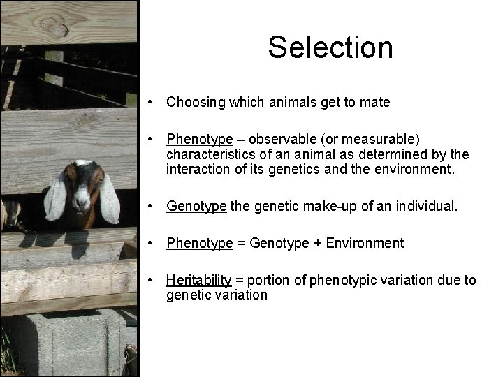 Genetics 101 Susan Schoenian Two ways to make