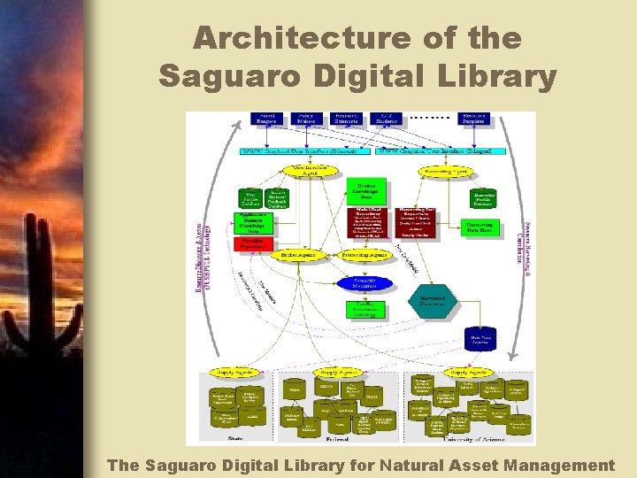 The Saguaro Digital Library for Natural Asset Management