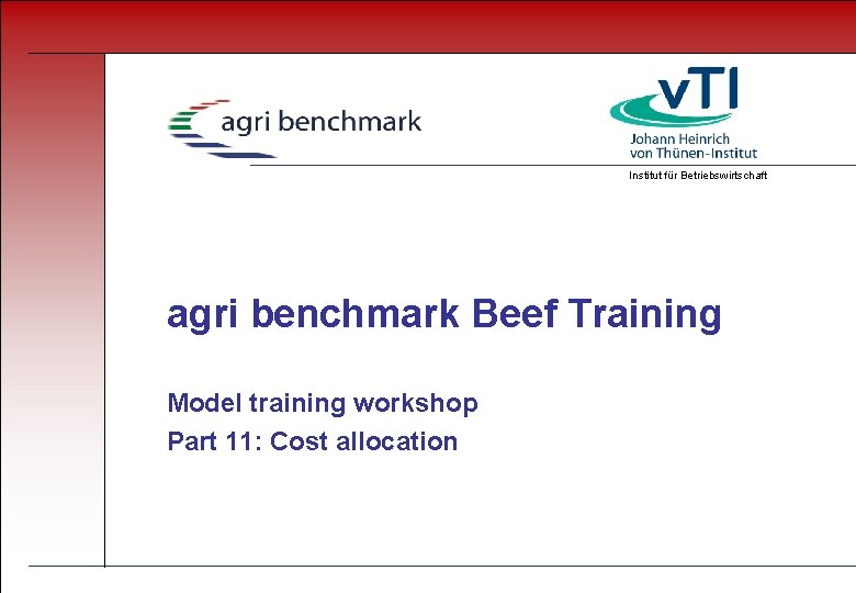 Institut fr Betriebswirtschaft agri benchmark Beef Training Model