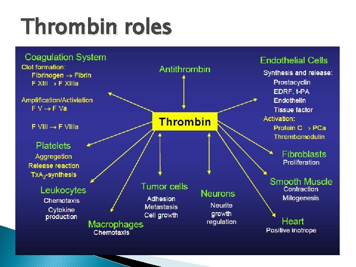 Coagulation Bruno Sopko Content Biochemistry of haemocoagulation Laboratory