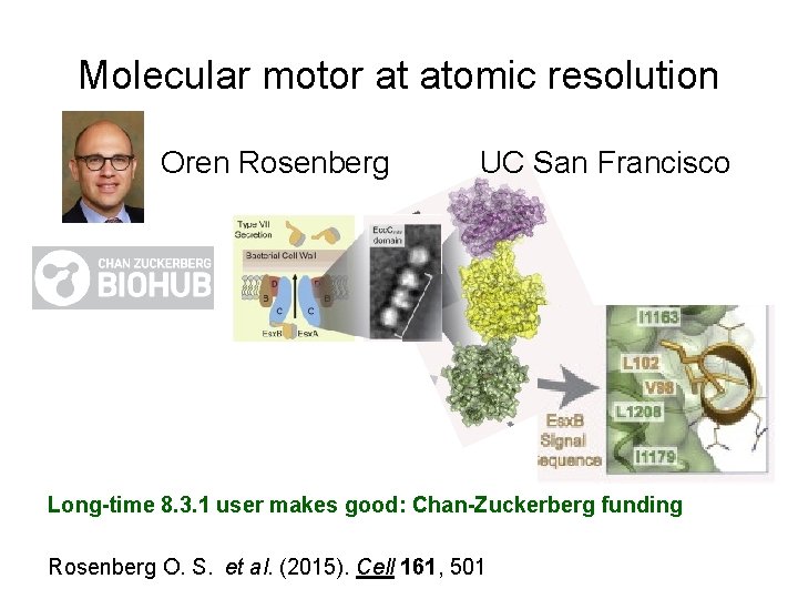 What is ALS Beamline 8 3 1 Macromolecular