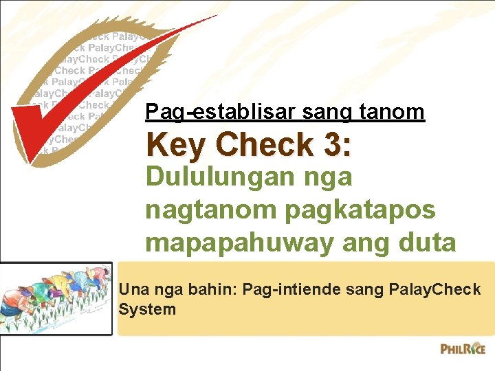 Pagestablisar sang tanom Key Check 3 Dululungan nga