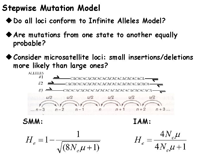 Lecture 20 Introduction to Neutral Theory November 5