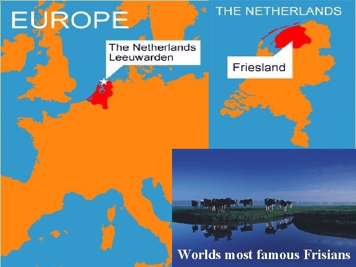 Management of Public Risks Sustainability Management in Tourism