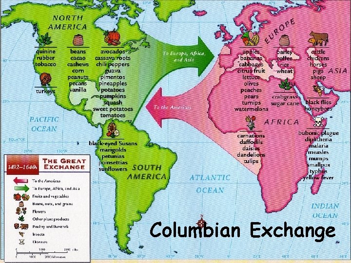 Columbian Exchange Diseases Disease kills a large segment