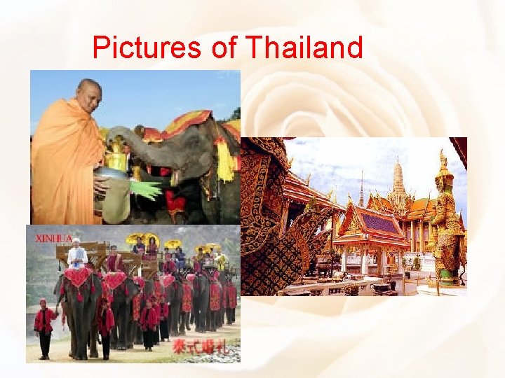 Brief Introduction of Thailand A unified Thai kingdom