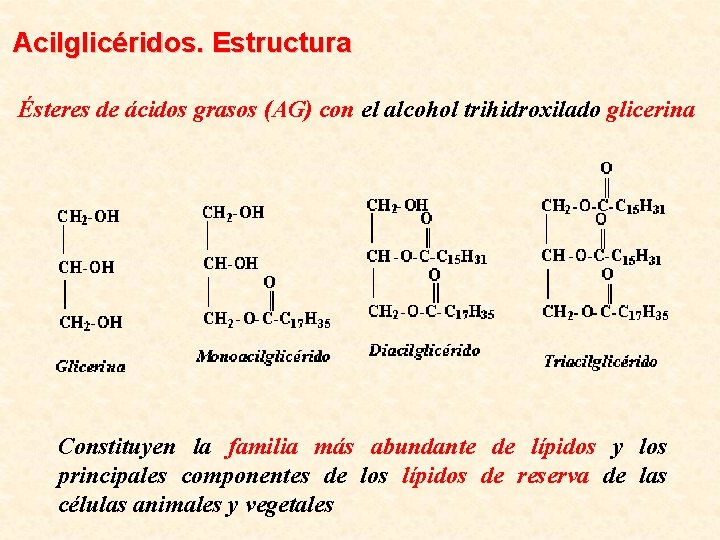 Qumica Orgnica Tema 3 Compuestos Orgnicos Bioenergticos MSc