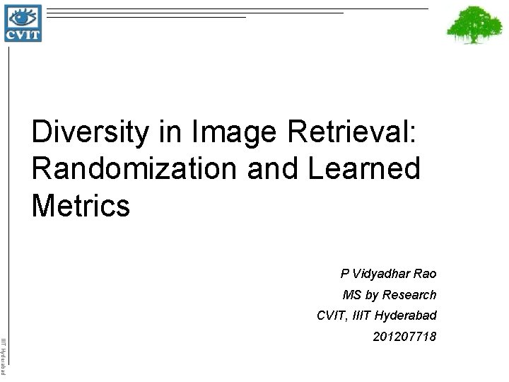 Diversity in Image Retrieval Randomization and Learned Metrics