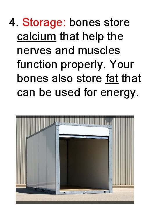 Skeletal System Ready SET BONES On your table