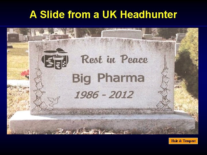 Strategic Pharma Issues Dr Brian W Tempest www