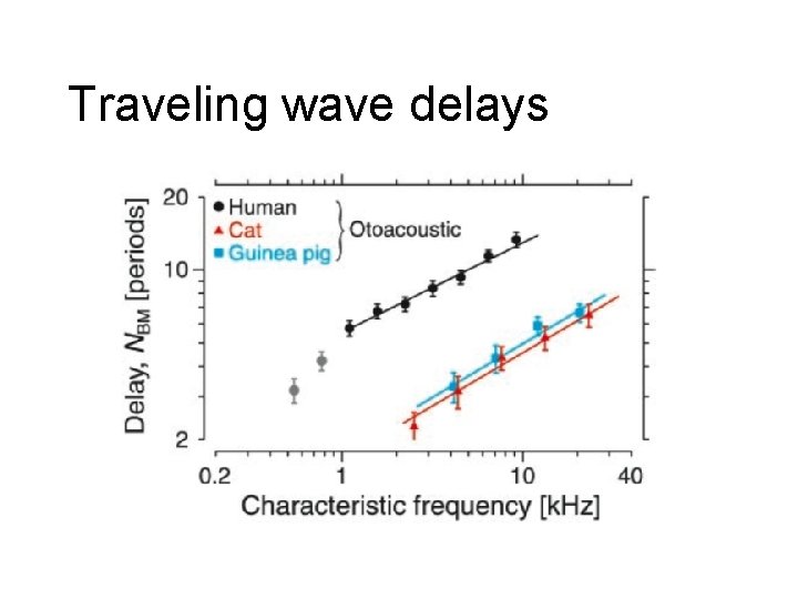 Revised estimates of human cochlear tuning from otoacoustic