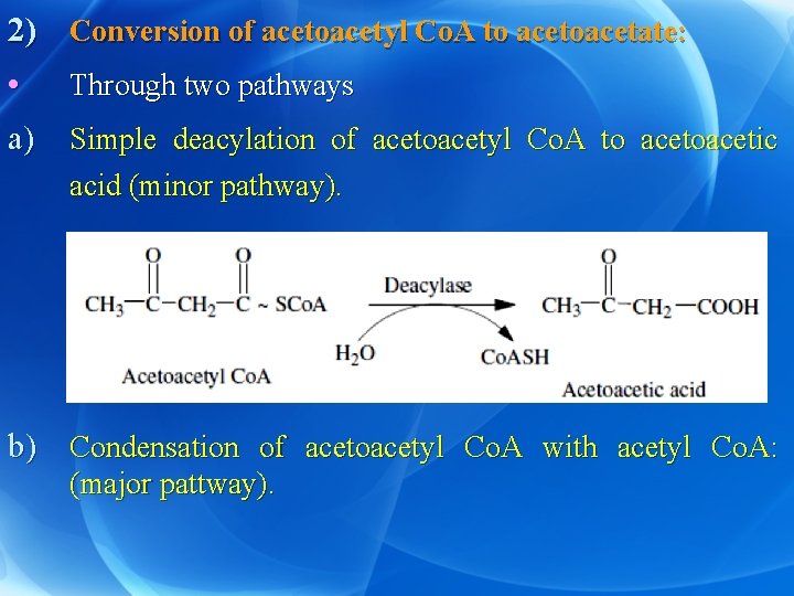 Lecture No 3 Lipids Metabolism Dr Obeid Shanab