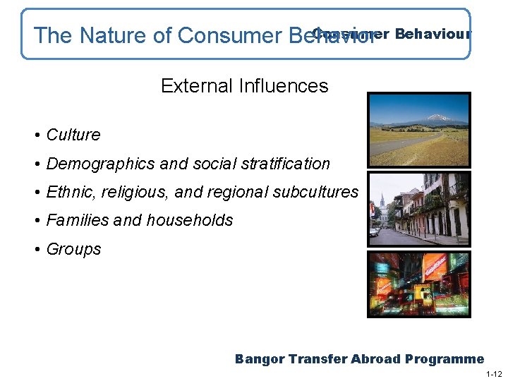 Consumer Behaviour Introduction to Module Bangor Transfer Abroad