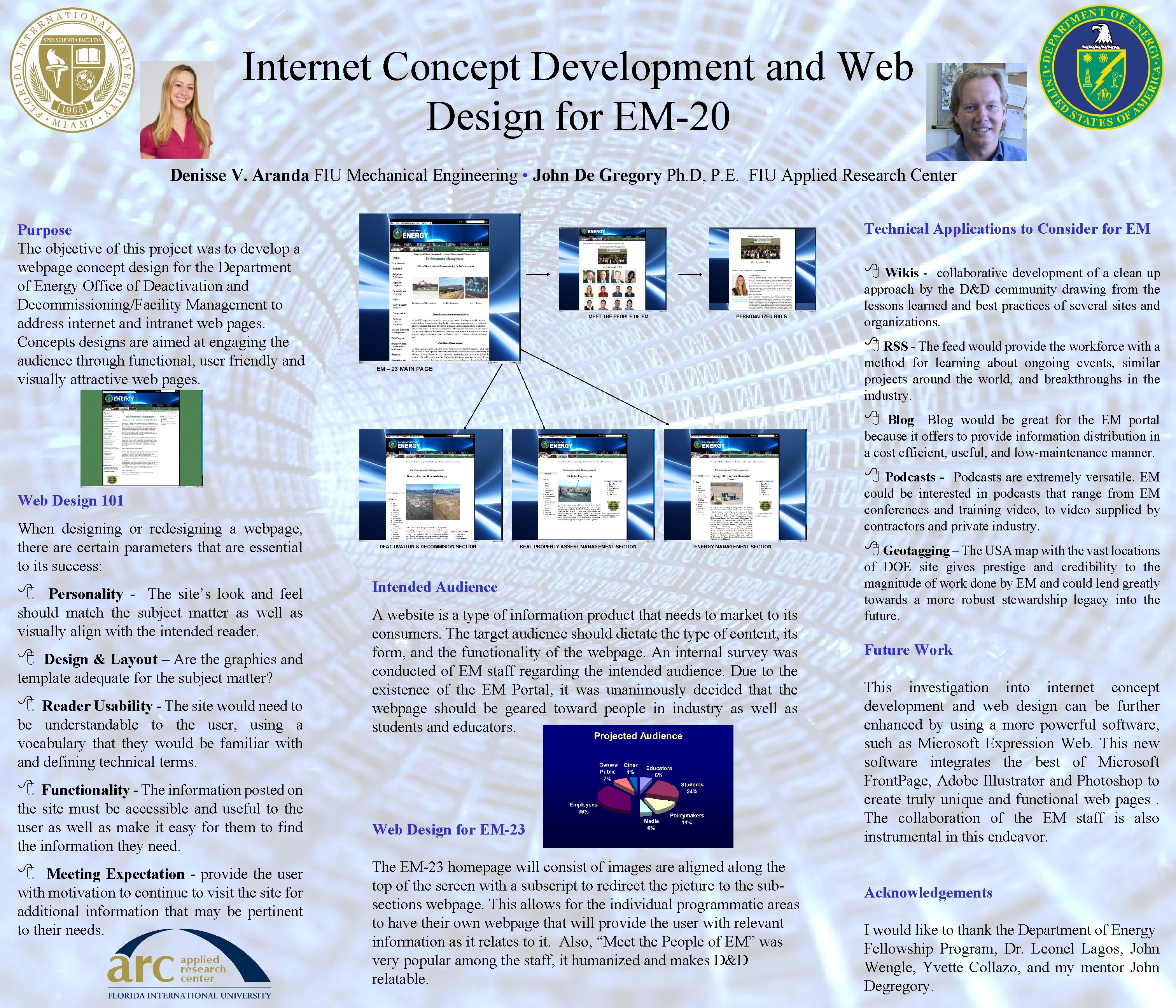 Internet Concept Development and Web Design for EM20