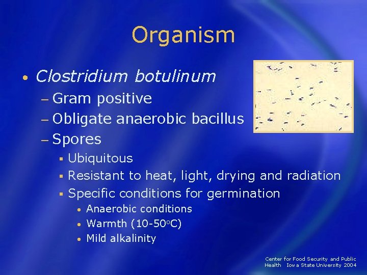 Botulism Overview Organism History Epidemiology Transmission Disease in