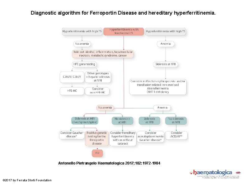 Ferroportin disease pathogenesis diagnosis and treatment by Antonello