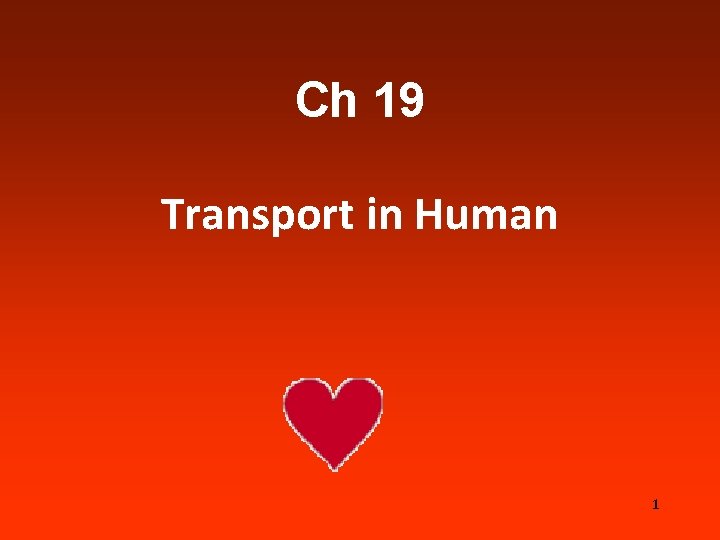 Ch 19 Transport in Human 1 You need