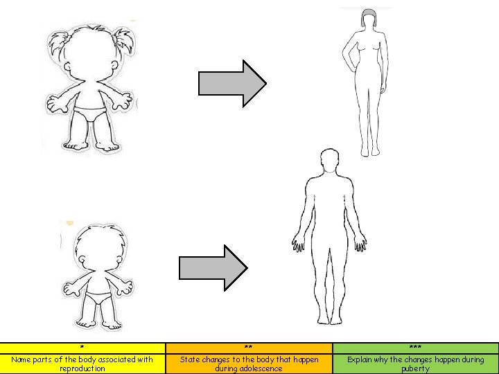 Adolescence and puberty Name parts of the body