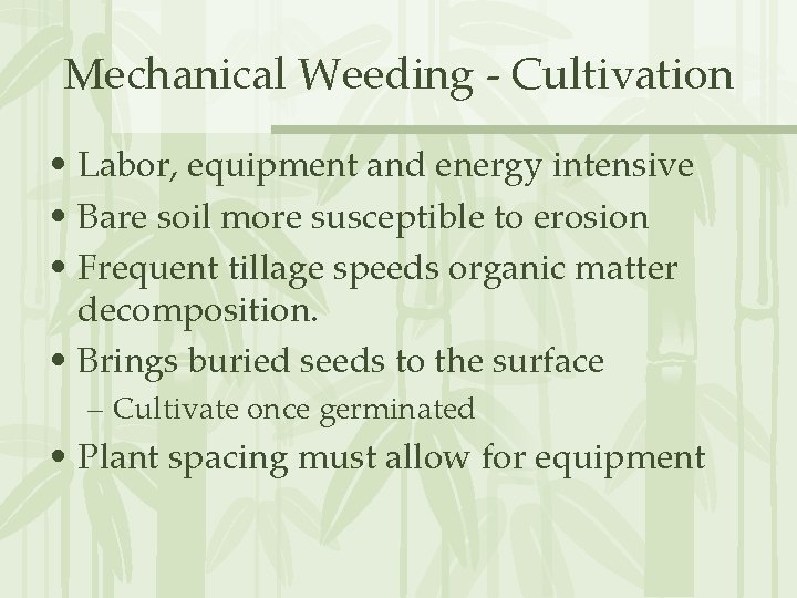 Mulching Other Methods for Weed Control Prepared by
