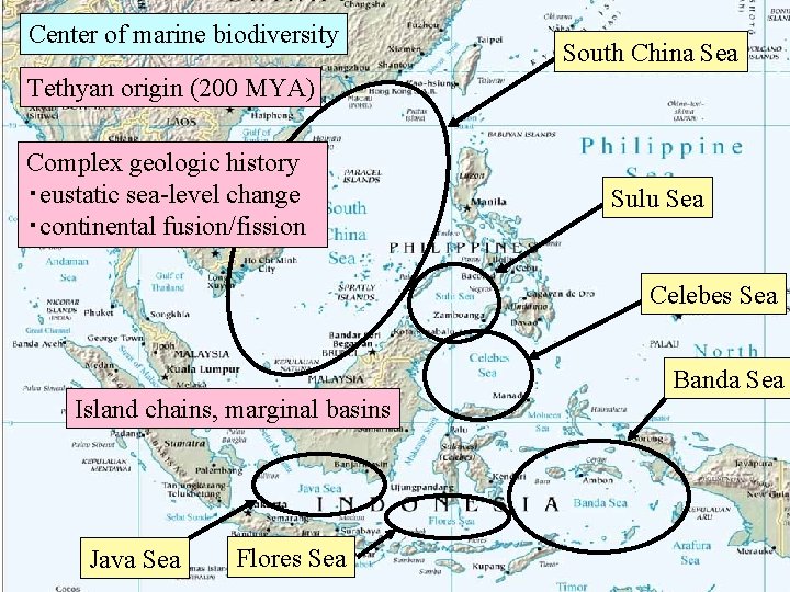 Zooplankton biodiveristy in Southeast Asia An overview Shuhei