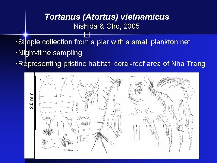 Zooplankton biodiveristy in Southeast Asia An overview Shuhei