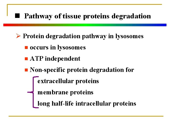 Metabolism of Amino Acid Section Physiological function and