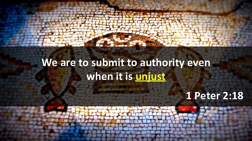 Submission to Authority 1 Peter 2 13 20