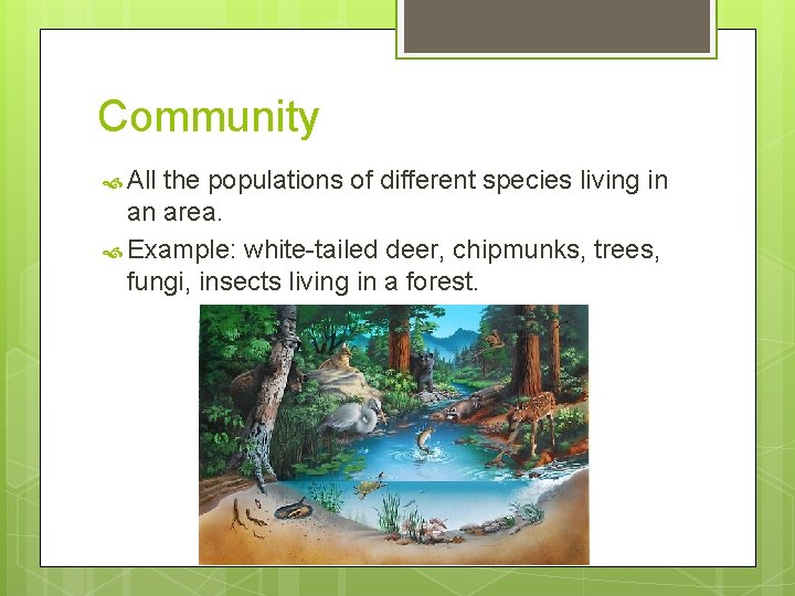 Ecosystems Essential Question How do organisms interact with