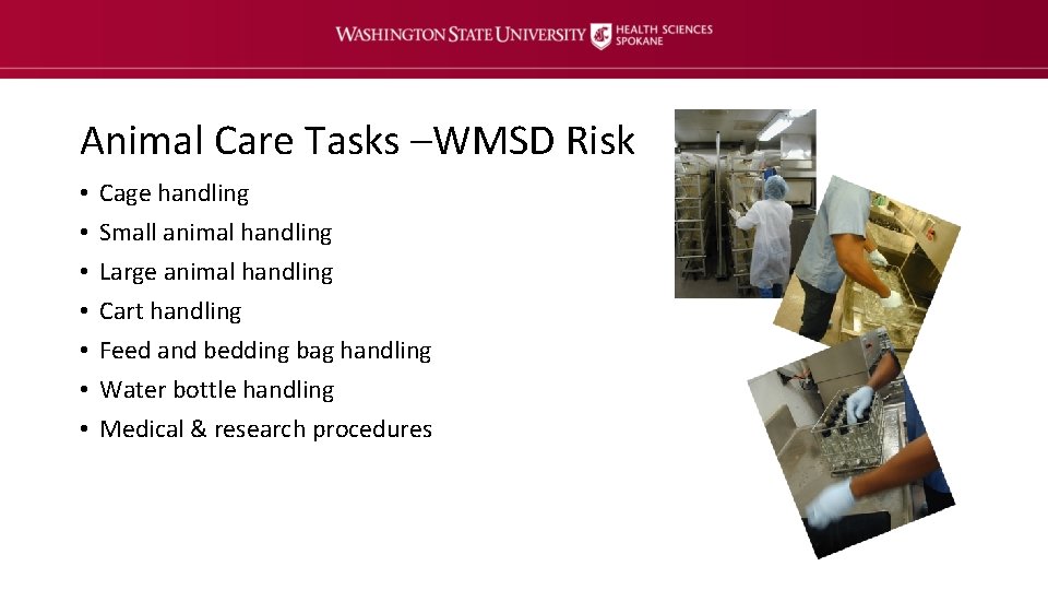 Animal Care Ergonomics Department of Environmental Health Safety