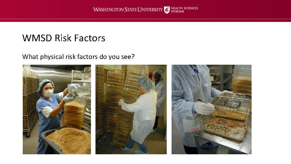 Animal Care Ergonomics Department of Environmental Health Safety