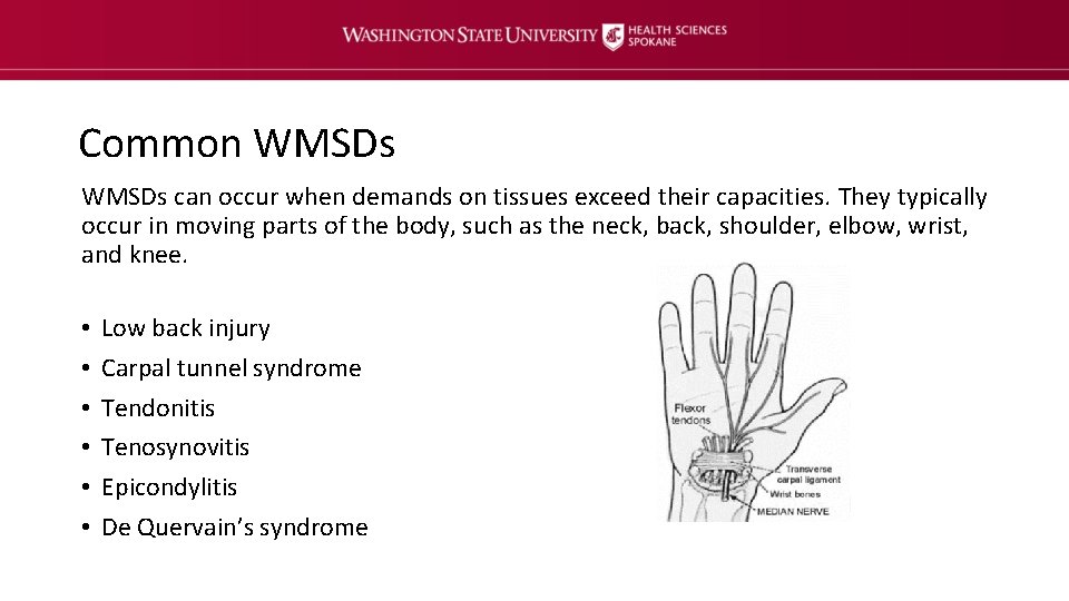 Animal Care Ergonomics Department of Environmental Health Safety