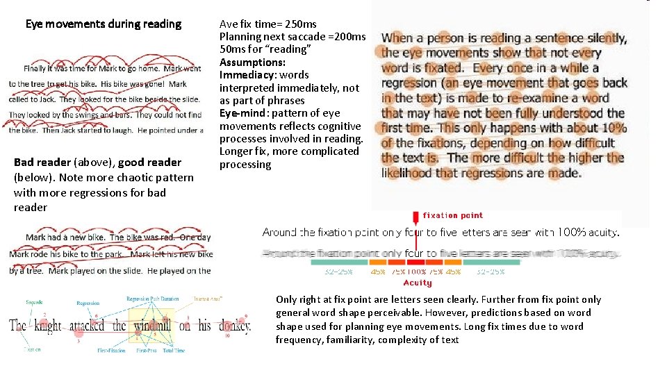 Reading comprehension Gernsbachers structure building model a step