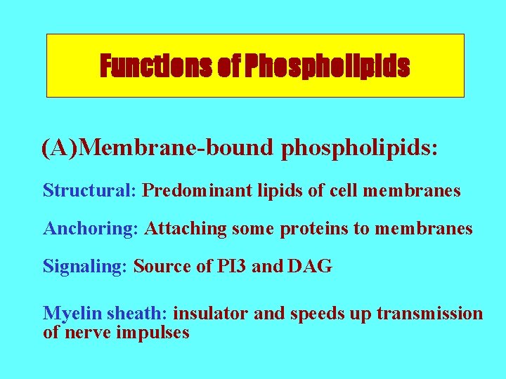 Phospholipid Compounds of Physiological Importance By Amr S