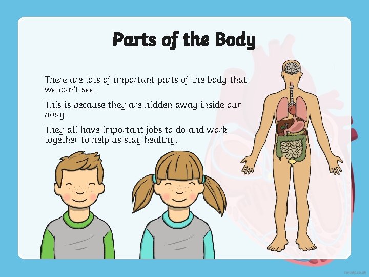 Parts of the Body There are lots of