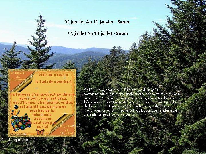 HOROSCOPE CELTIQUE Manuel Savezvous de quel arbre vous