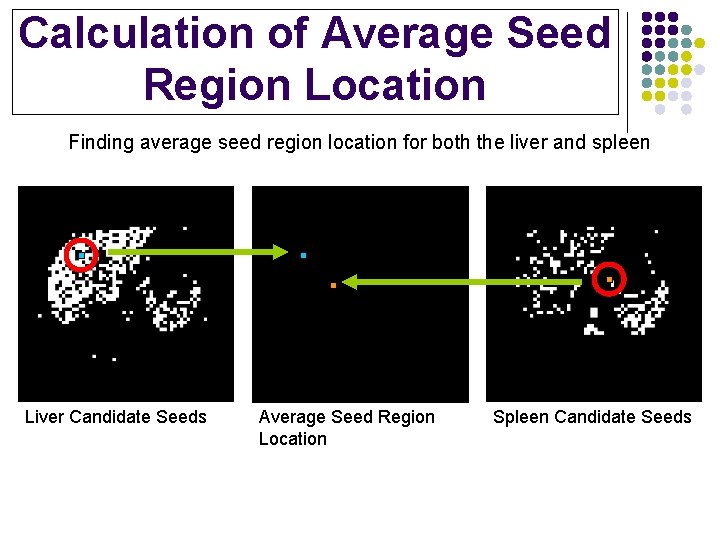 PROJECT 1 Voronoi Probability Maps for Seed Region