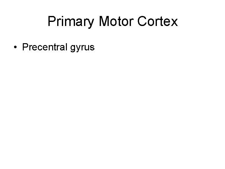 Brain Anatomy Regions and their functions 4 major