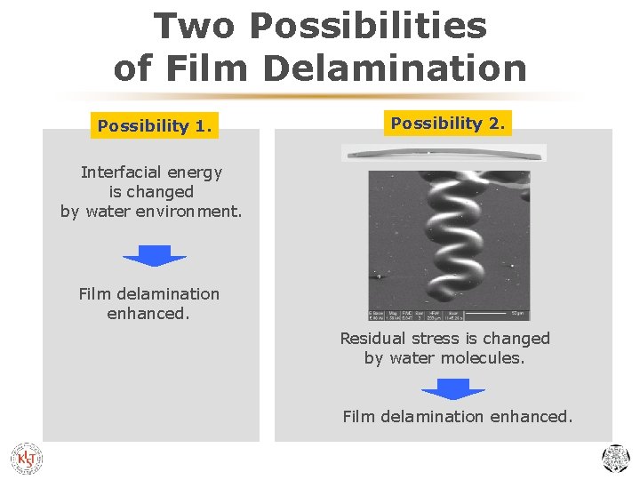 Residual Stress Behavior of DLC Film in Humid