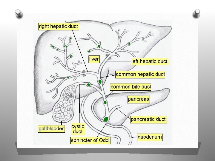 A case of upper abdo pain Joanna Wykes