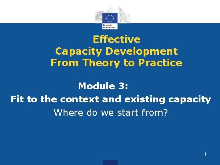 Effective Capacity Development From Theory to Practice Module