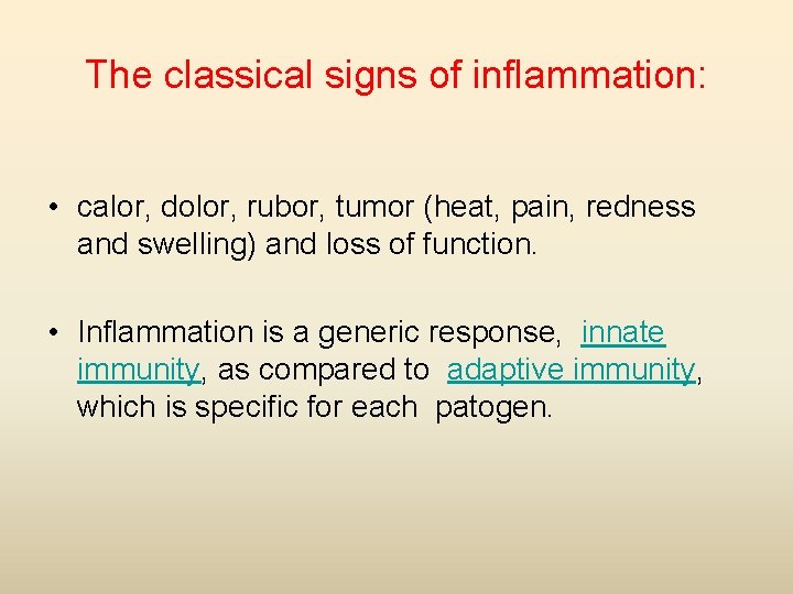 Inflammation antiinflammatory products Prof Dr Borvendg Jnos Main