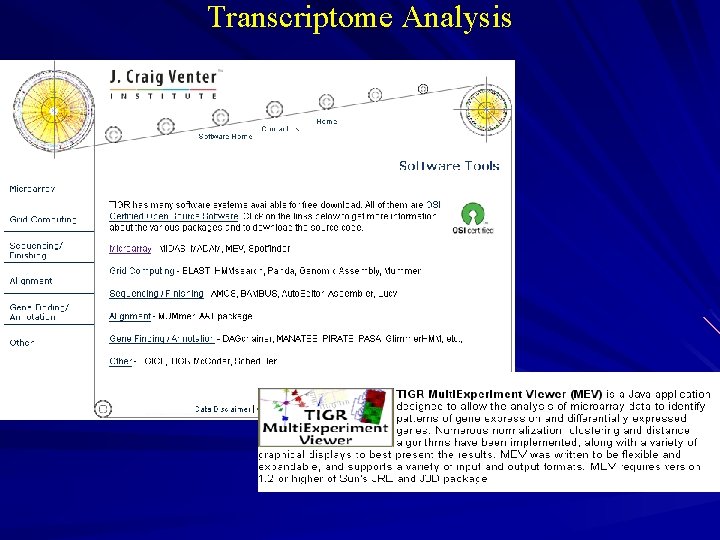 Modeling Functional Genomics Datasets CVM 8890 101 Lesson