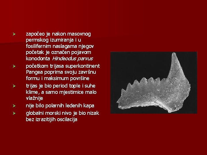 TRIJAS zapoeo je nakon masovnog permskog izumiranja i