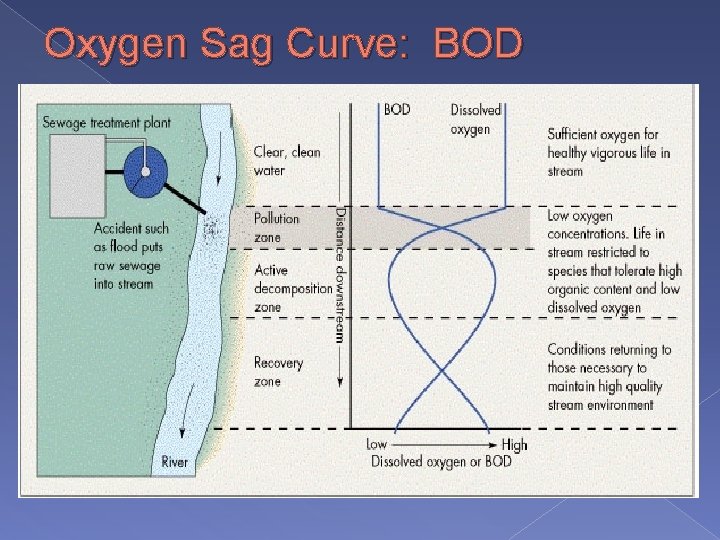 Water Pollution Cause Prevention Treatment APES Textbook Reference