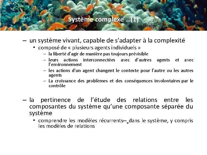 FORUM IBN KHALDOUN POUR LE DEVELOPPEMENT La complexit