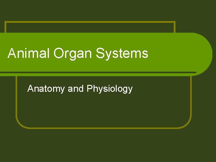 Animal Organ Systems Anatomy and Physiology Fundamentals of