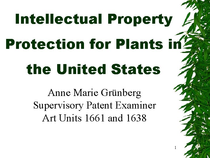 Intellectual Property Protection for Plants in the United