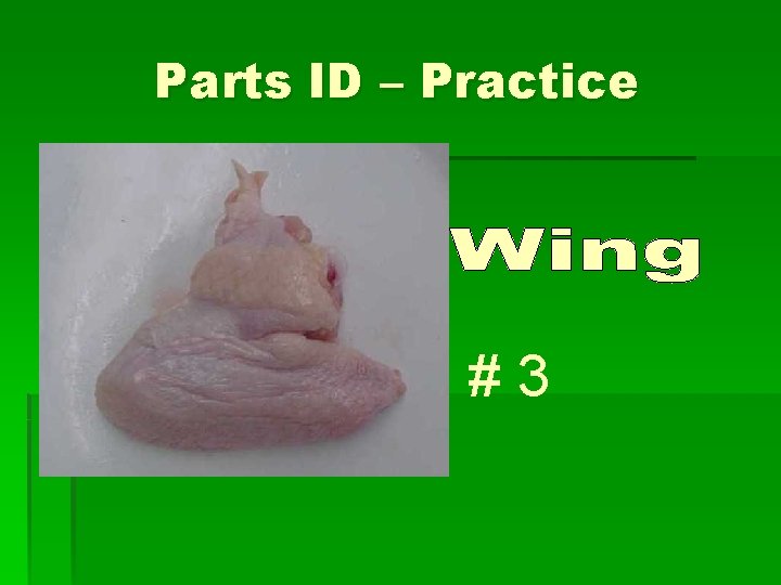 Poultry Judging Parts Identification Created by Connie Page